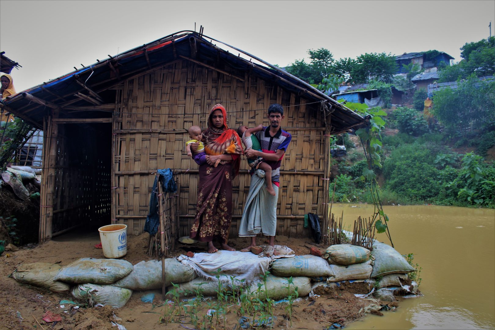 Livelihoods and Employment - MiC