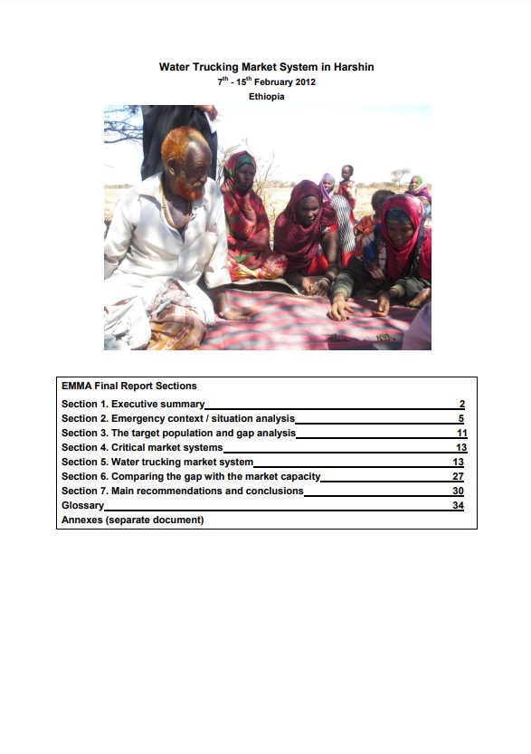 EMMA of the Water Trucking Market System in Harshin - MiC