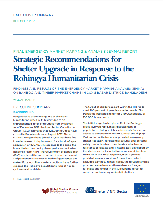 Executive Summary: Strategic Recommendations for Shelter Upgrade in ...